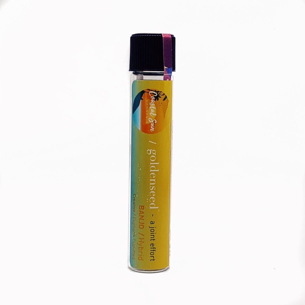 Goldenseed Coastal Sun Banjo Terp. Preroll 1G - The Kind Center