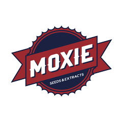 Moxie Hard Candy 1g Badder - The Kind Center